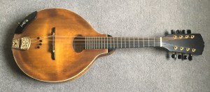 The Irish Mandolin – a website from Aidan Crossey